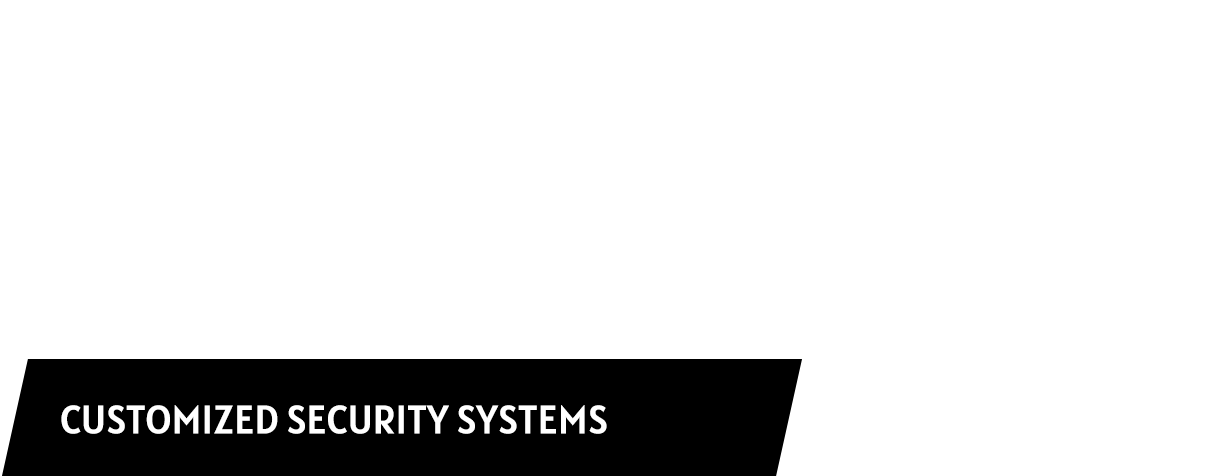 Custom security systems - Protect-IP